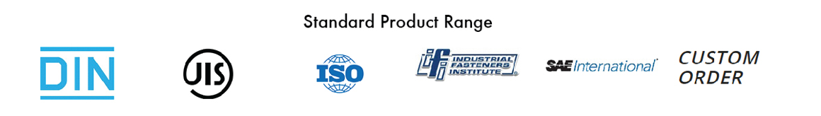 Technical Capabilities - VINAVIT CORP